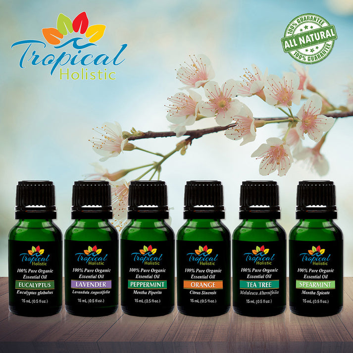 Organic Essential Oil Aromatherapy Starter Kit, (Pack of 6/15ml ...